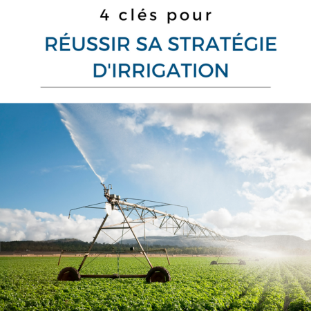 Irrigation des vignes : techniques, conseils et règlementations