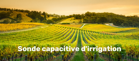 Irrigation des vignes : techniques, conseils et règlementations